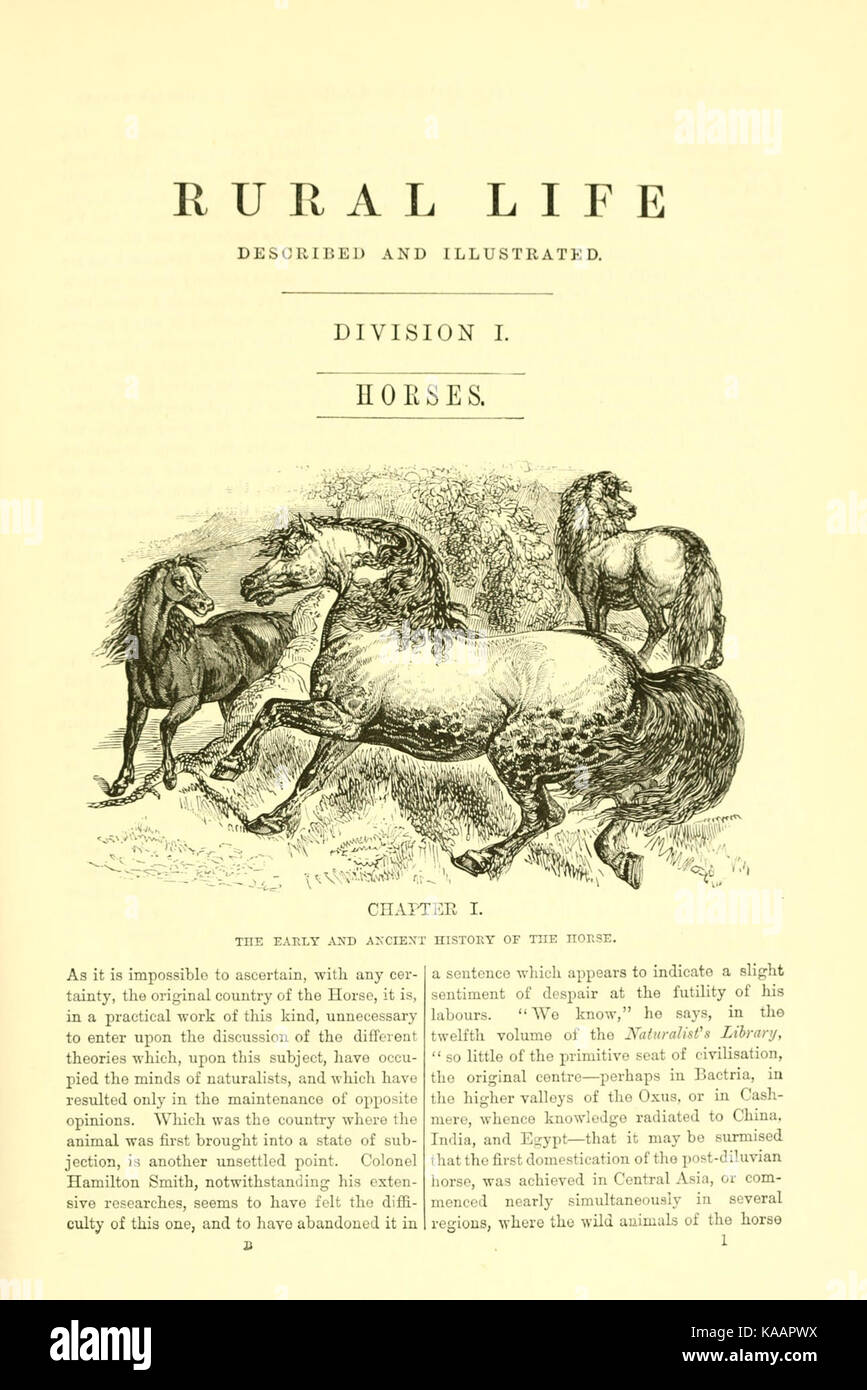 Rural life described and illustrated, in the management of horses, dogs ...