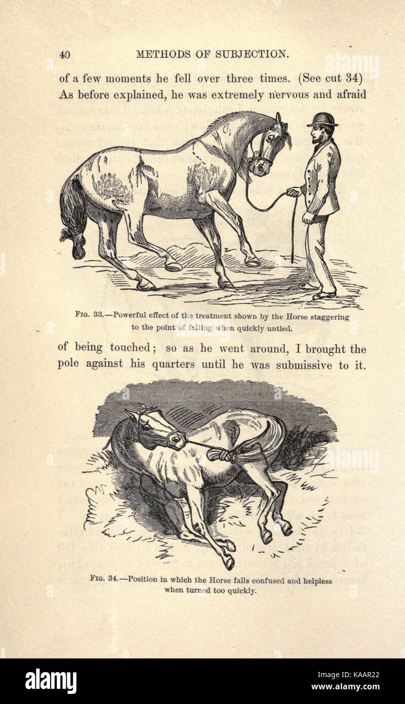 This text, 'The Art of Taming and Educating the Horse,' provides ...