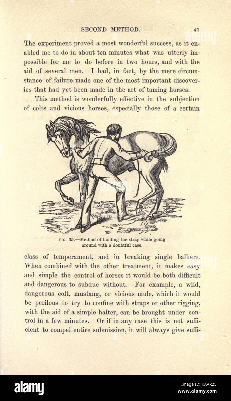 The art of taming and educating the horse (Page 41) BHL23190100 Stock ...