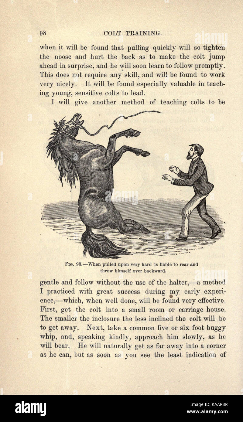 This text focuses on the techniques and principles involved in taming ...