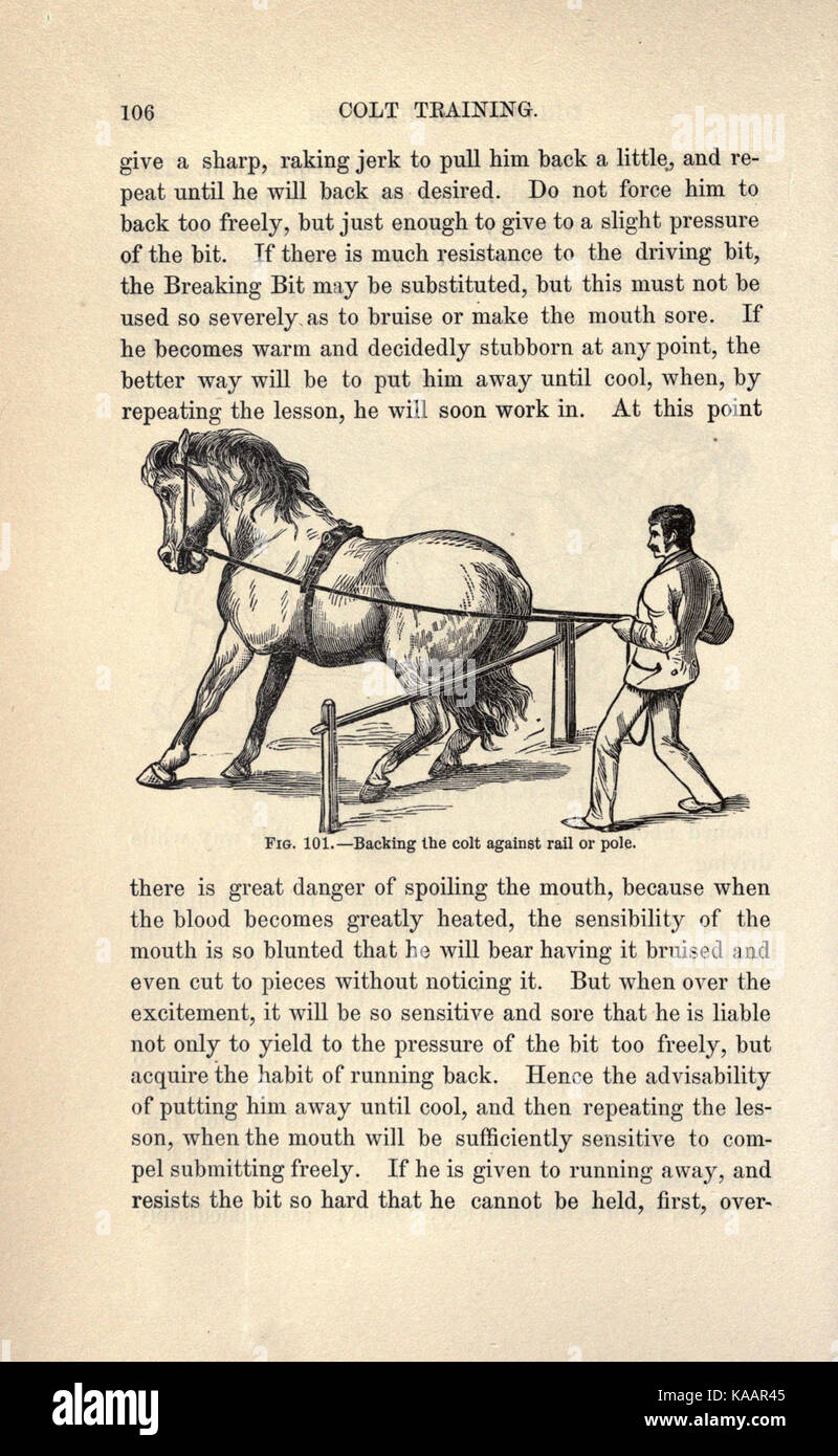 This page from 'The Art of Taming and Educating the Horse' presents ...