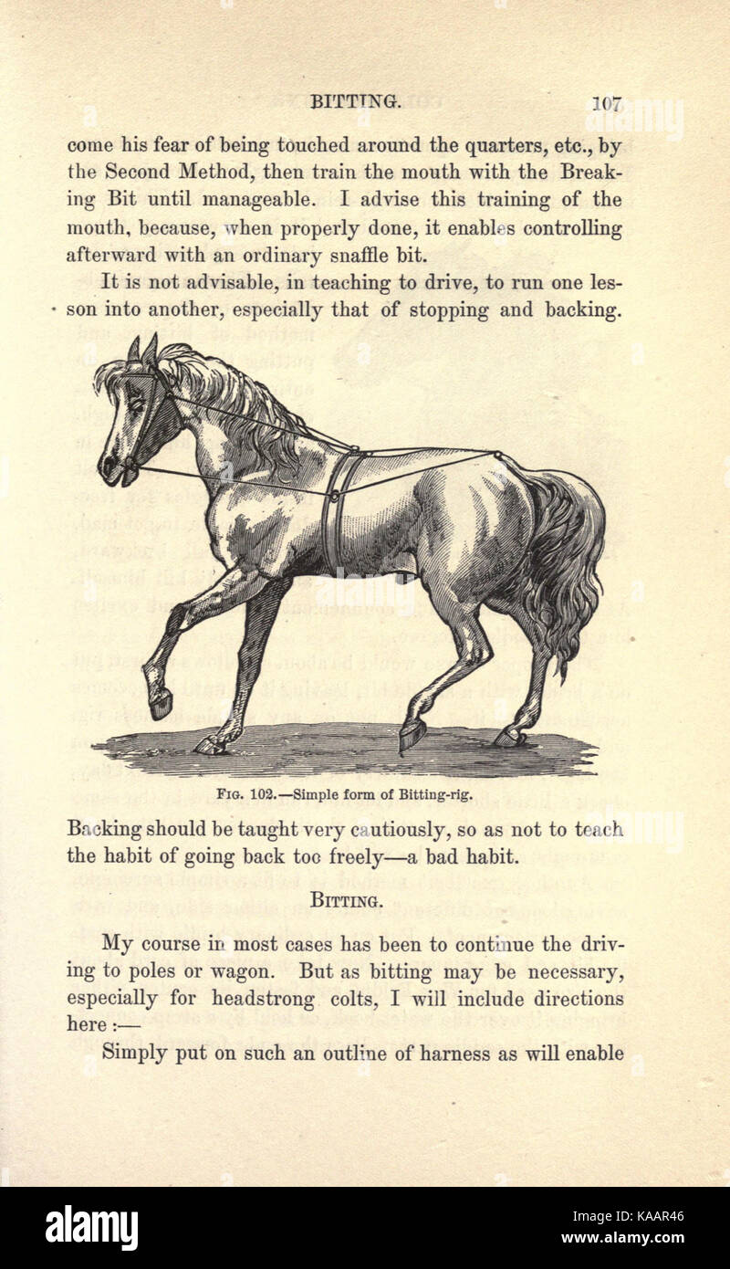 'The Art of Taming and Educating the Horse' provides a comprehensive ...