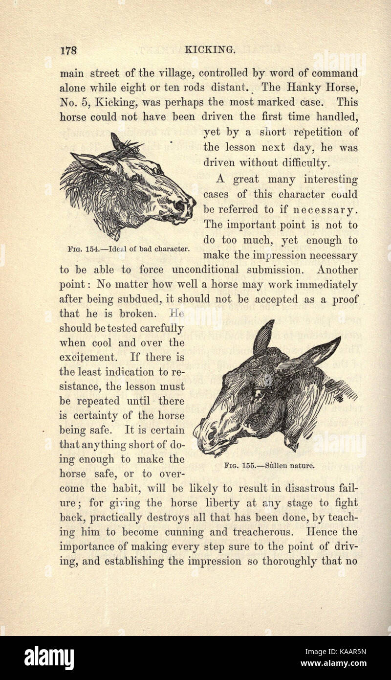 The art of taming and educating the horse (Page 178) BHL23190237 Stock ...