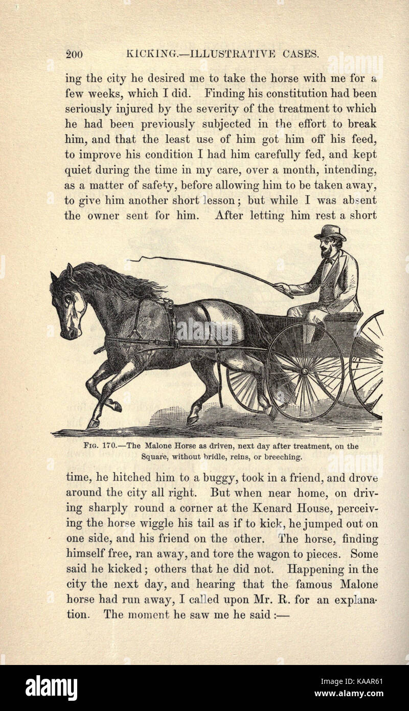 This page from 'The Art of Taming and Educating the Horse' outlines ...