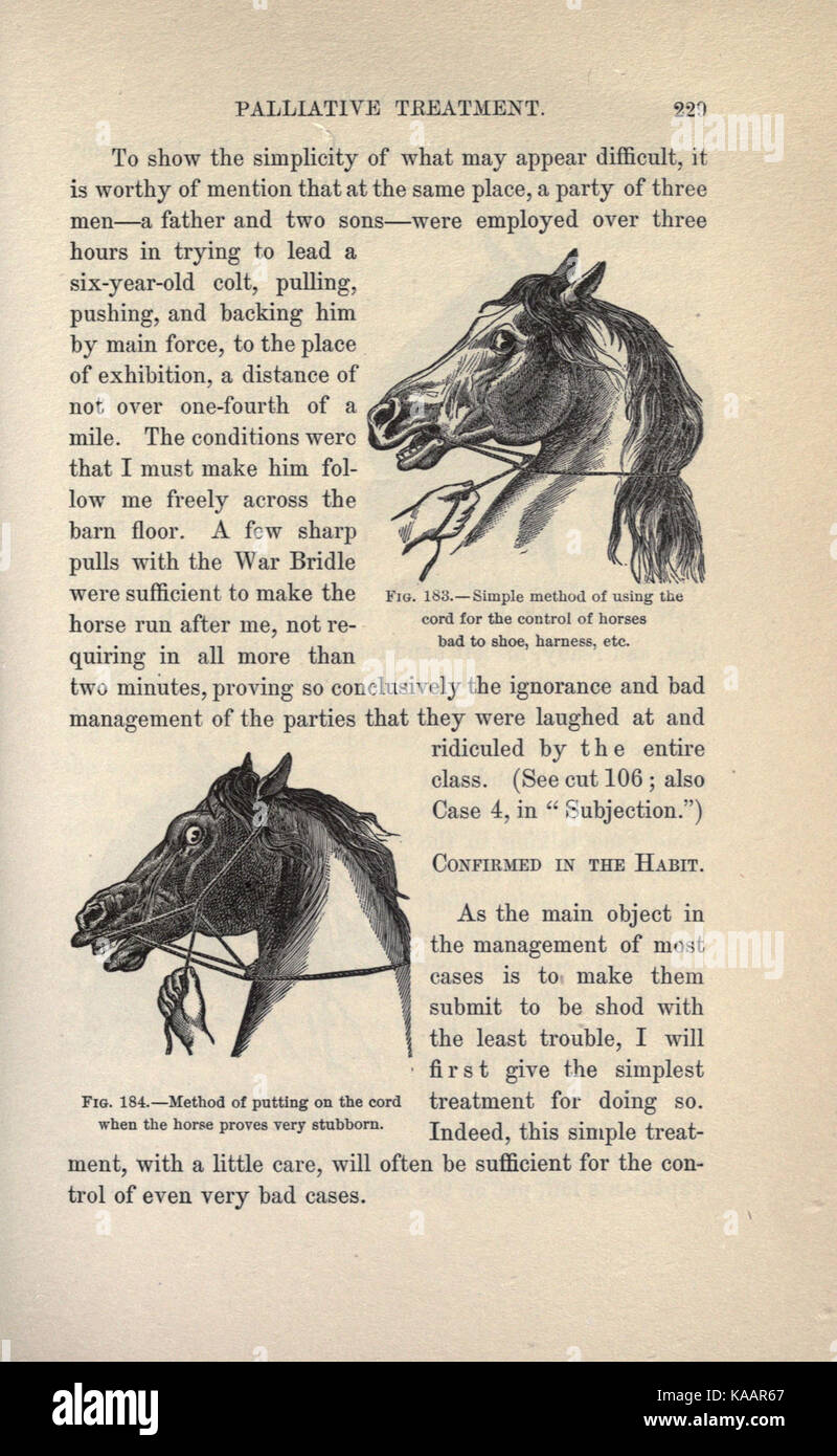The art of taming and educating the horse (Page 229) BHL23190288 Stock ...