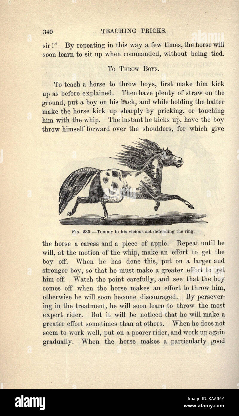 The art of taming and educating the horse (Page 340) BHL23190399 Stock ...