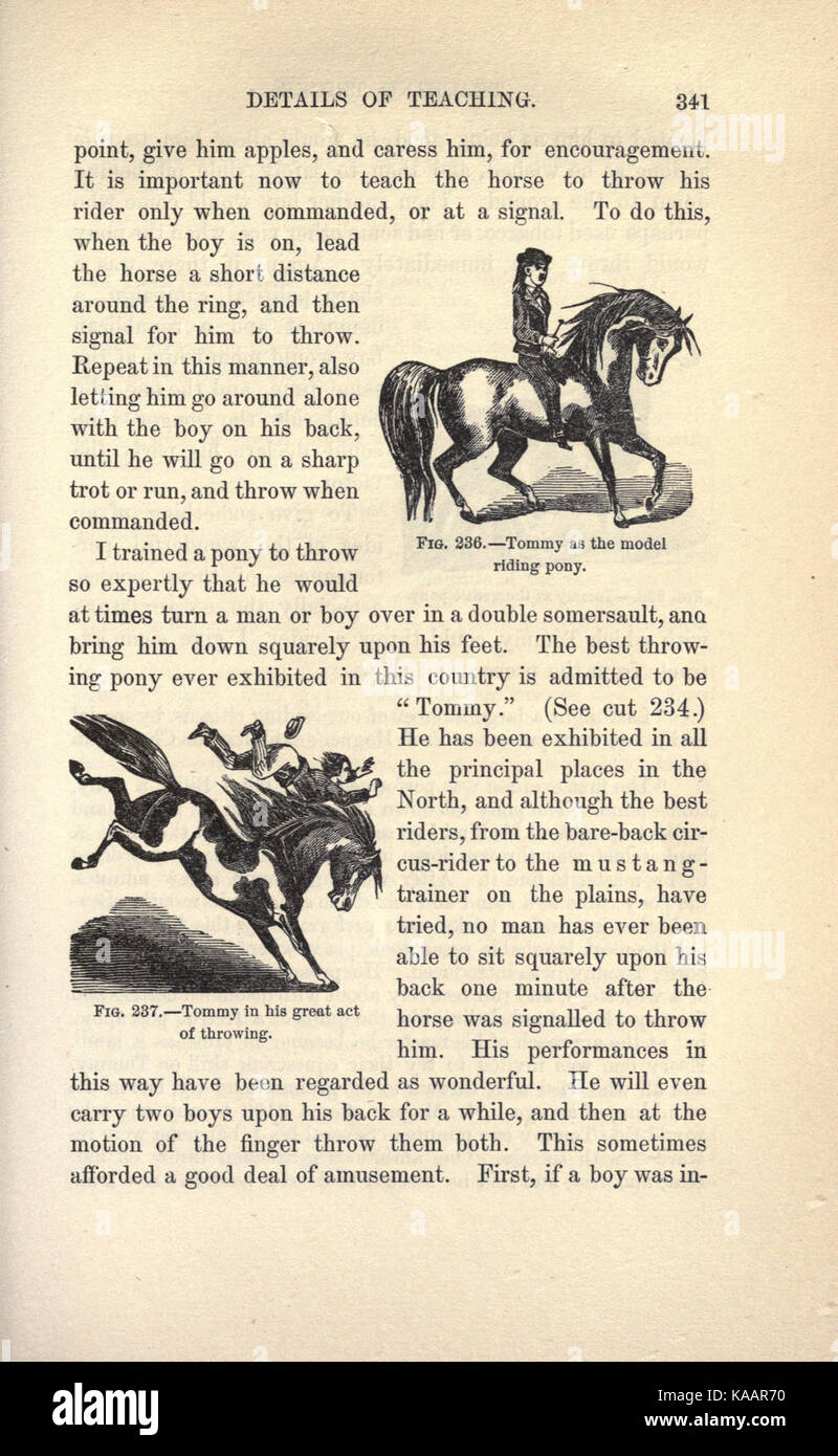 The art of taming and educating the horse (Page 341) BHL23190400 Stock ...