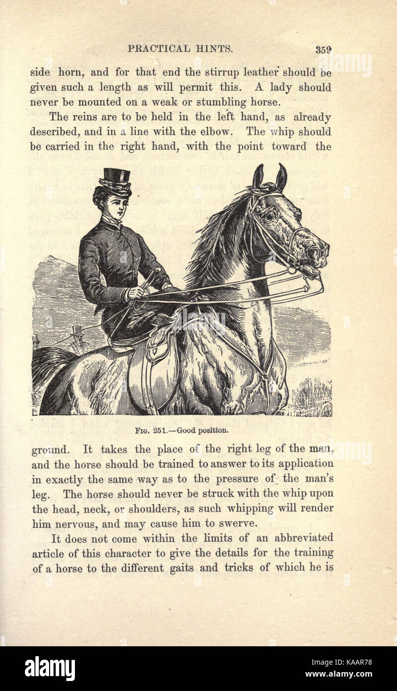The art of taming and educating the horse (Page 359) BHL23190418 Stock ...