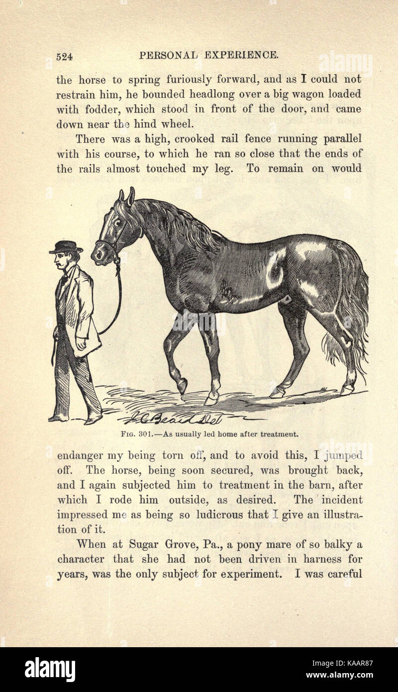 The art of taming and educating the horse (Page 524) BHL23190583 Stock ...
