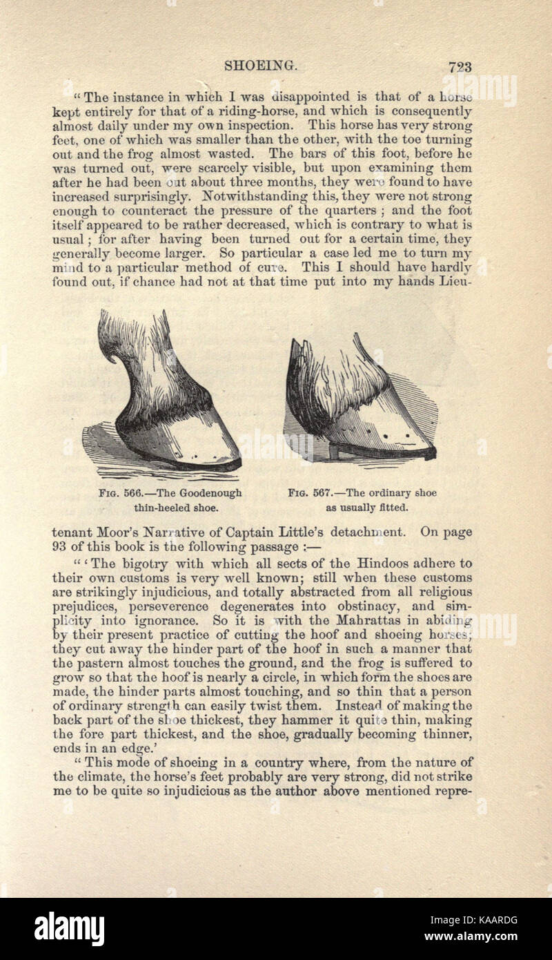 This page from 'The Art of Taming and Educating the Horse' discusses ...