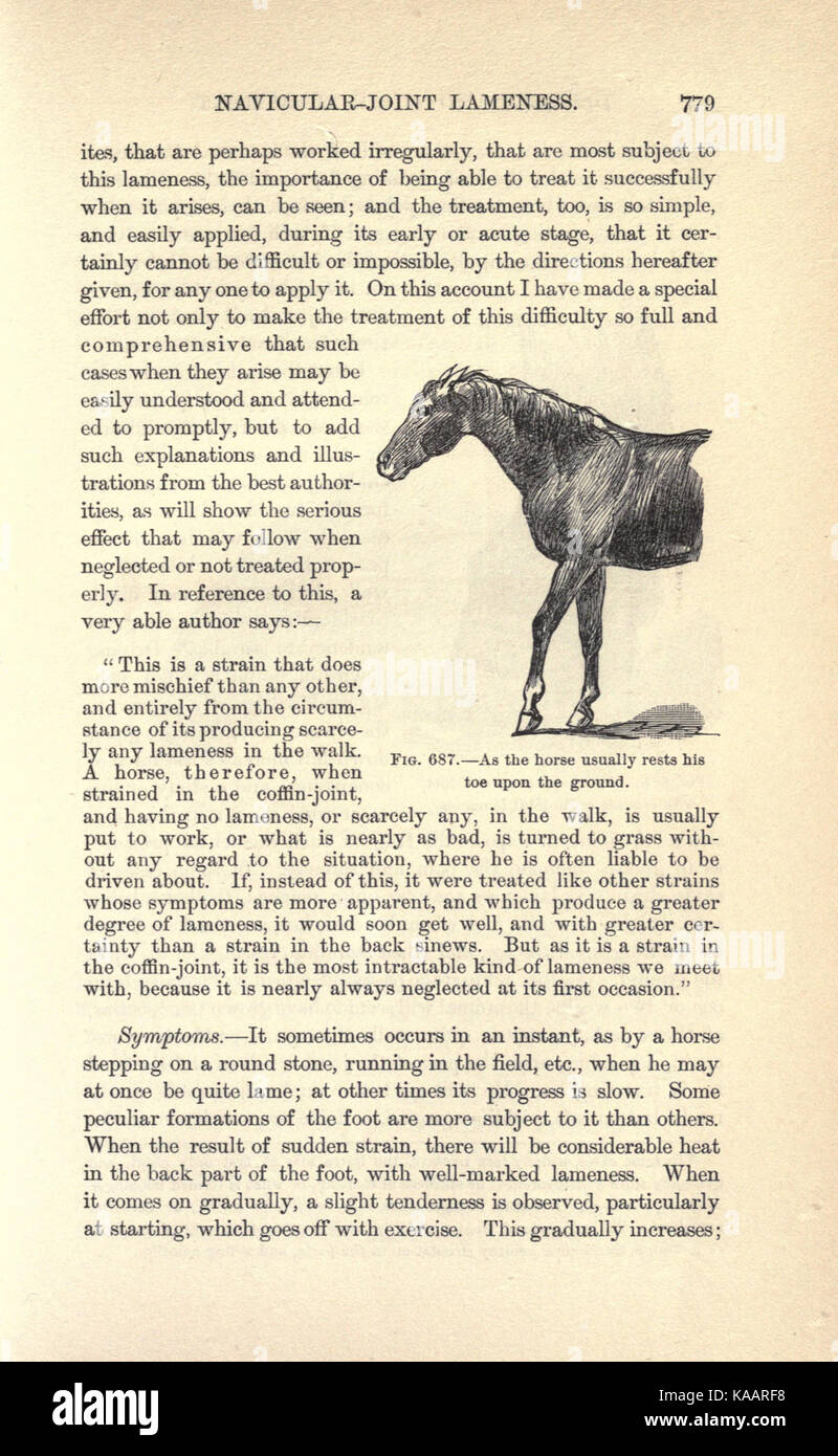 The art of taming and educating the horse (Page 779) BHL23190844 Stock ...