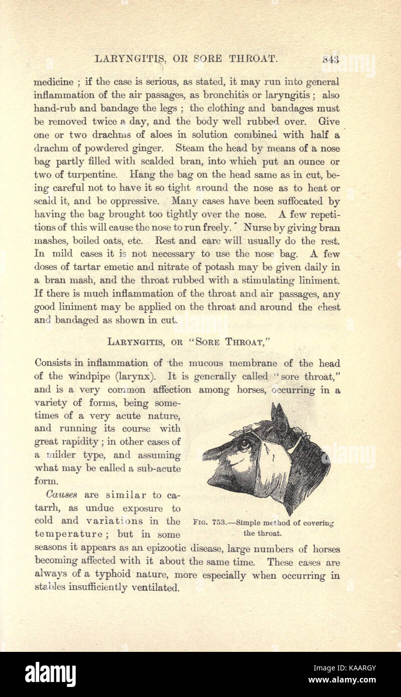 The art of taming and educating the horse (Page 843) BHL23190908 Stock Photo - Alamy