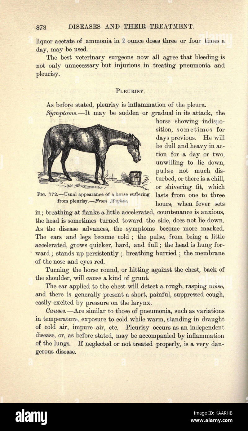 The art of taming and educating the horse (Page 878) BHL23190943 Stock ...
