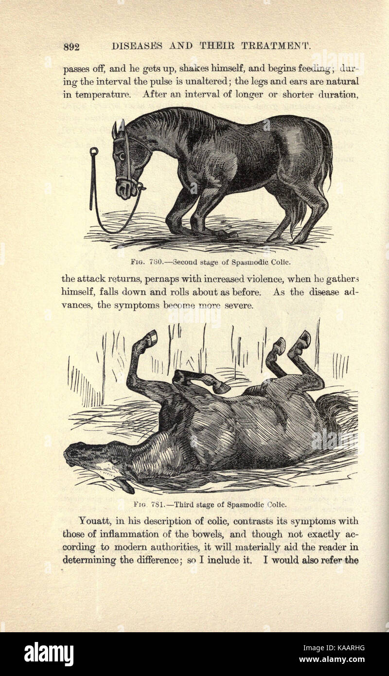 The art of taming and educating the horse (Page 892) BHL23190957 Stock ...