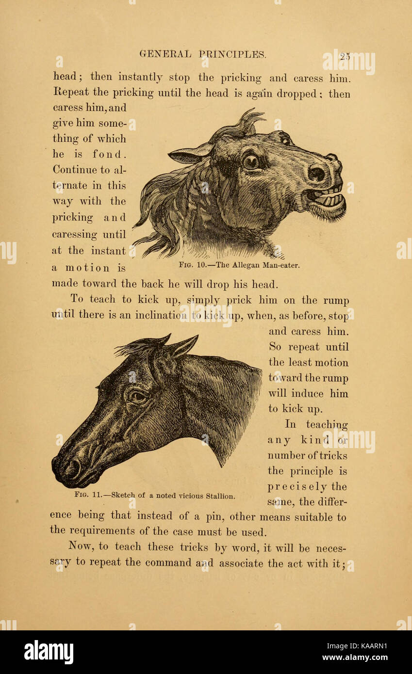 This page from 'The Art of Taming and Educating the Horse' discusses ...