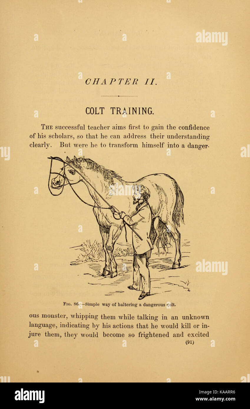 The art of taming and educating the horse (Page 91) BHL21387969 Stock ...