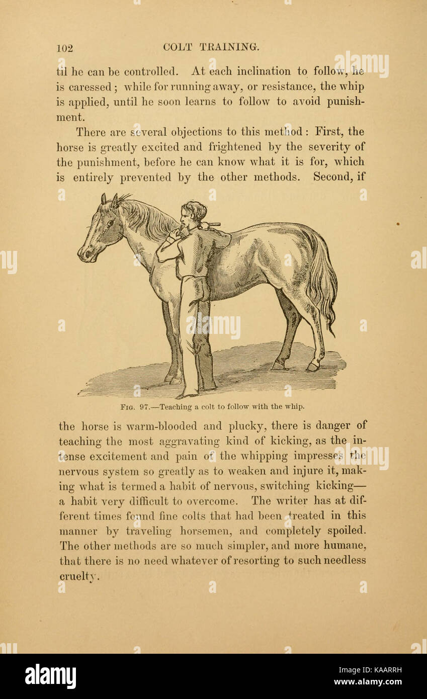 The art of taming and educating the horse (Page 102) BHL21387980 Stock ...