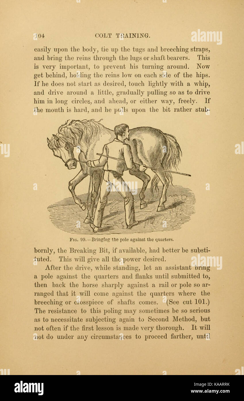 The art of taming and educating the horse (Page 104) BHL21387982 Stock ...