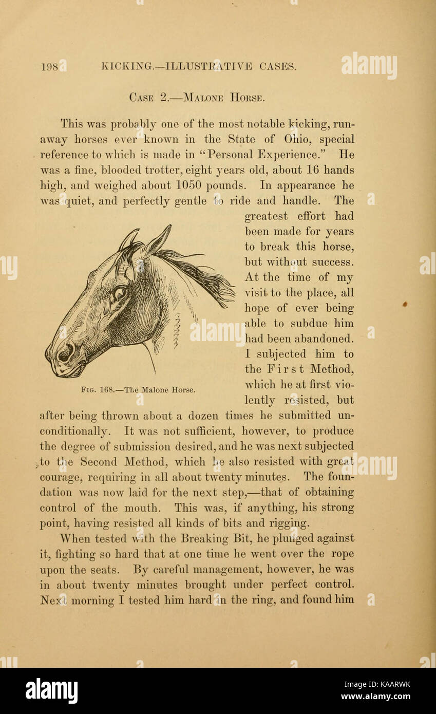 The art of taming and educating the horse (Page 198) BHL21388076 Stock ...