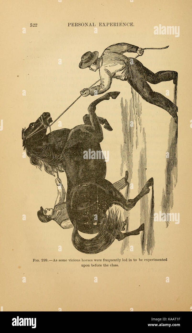 The art of taming and educating the horse (Page 522) BHL21388426 Stock ...