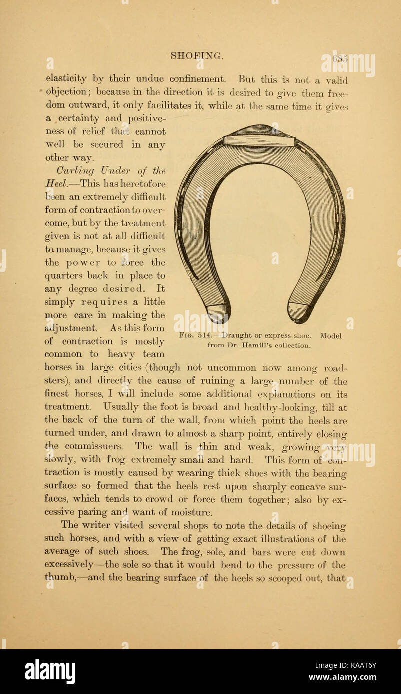 The art of taming and educating the horse (Page 685) BHL21388639 Stock ...