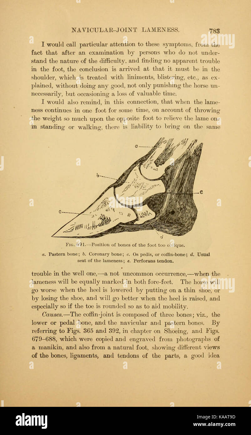 Page783
