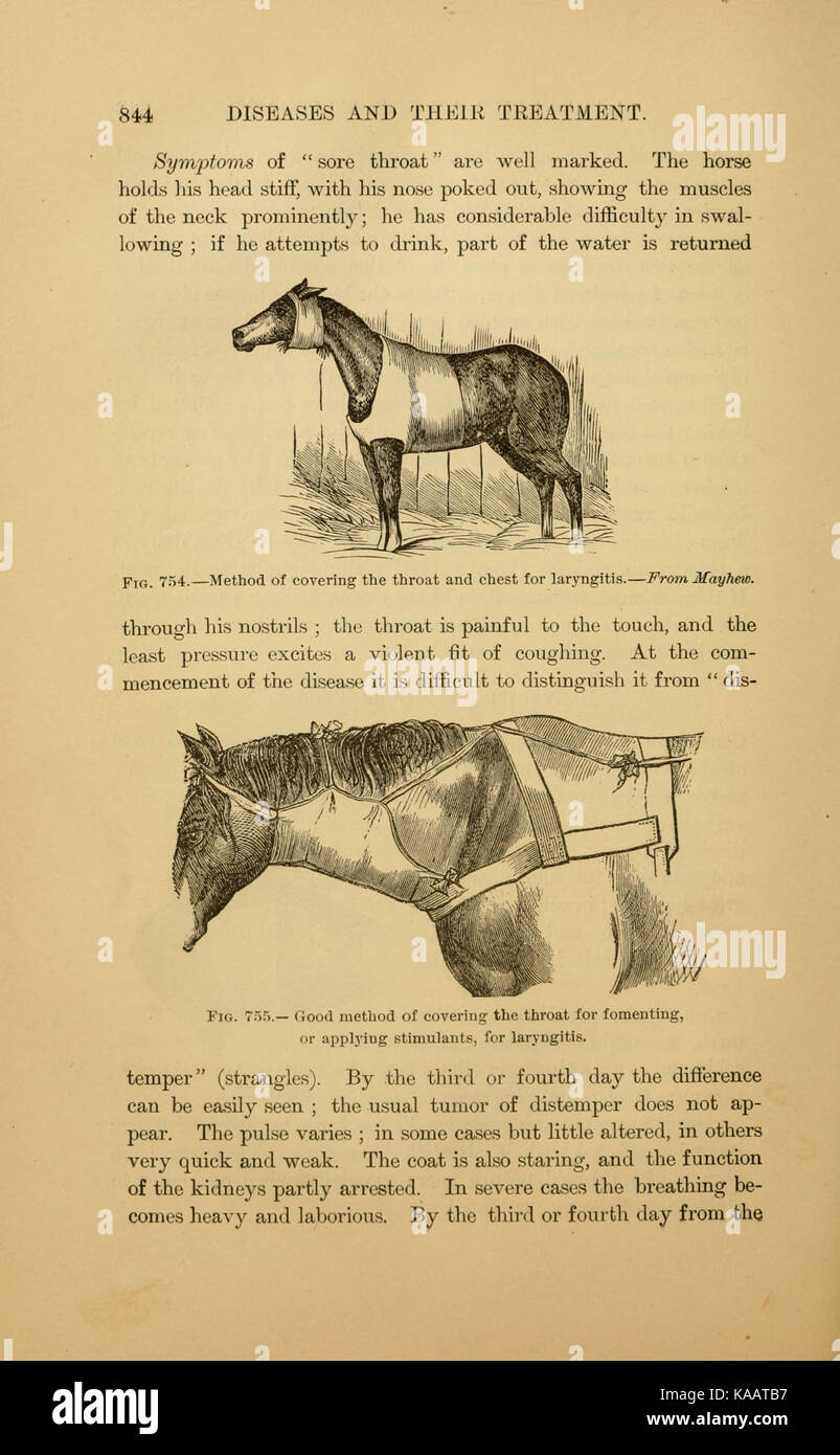 The art of taming and educating the horse (Page 844) BHL21388798 Stock ...