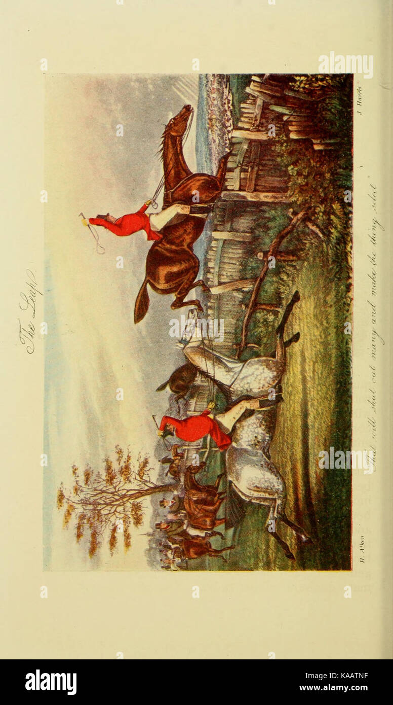 The analysis of the hunting field (Plate 5) BHL20389207 Stock Photo - Alamy