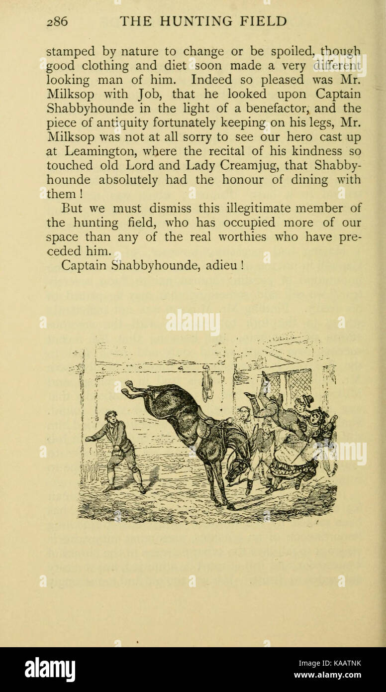 The analysis of the hunting field BHL20389255 Stock Photo - Alamy