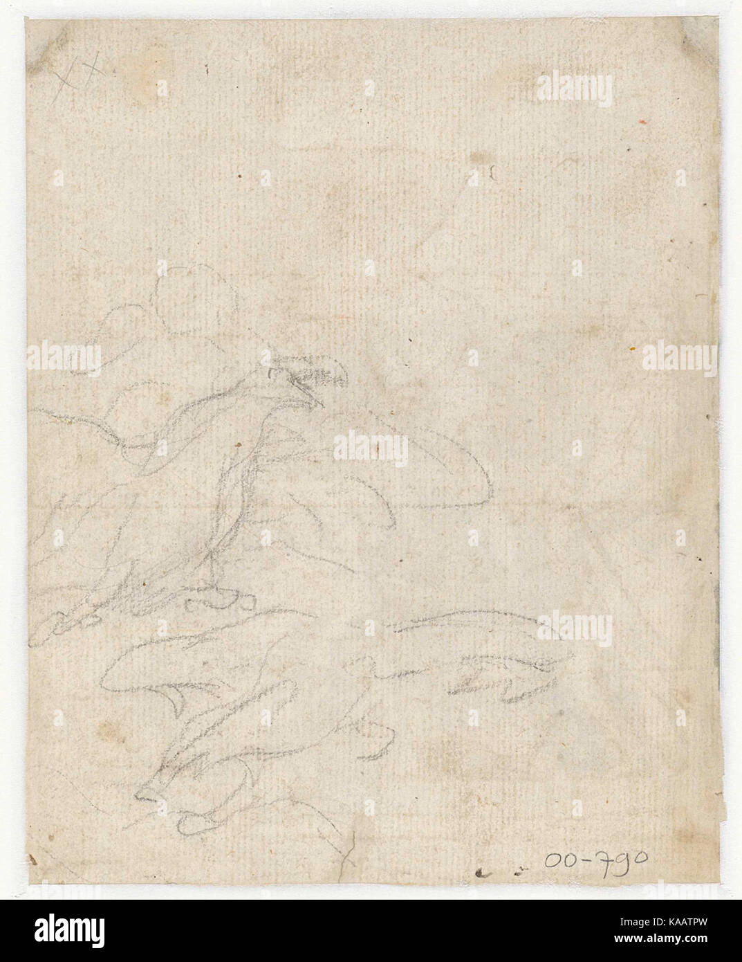 Schets van twee roofvogels Stock Photo - Alamy