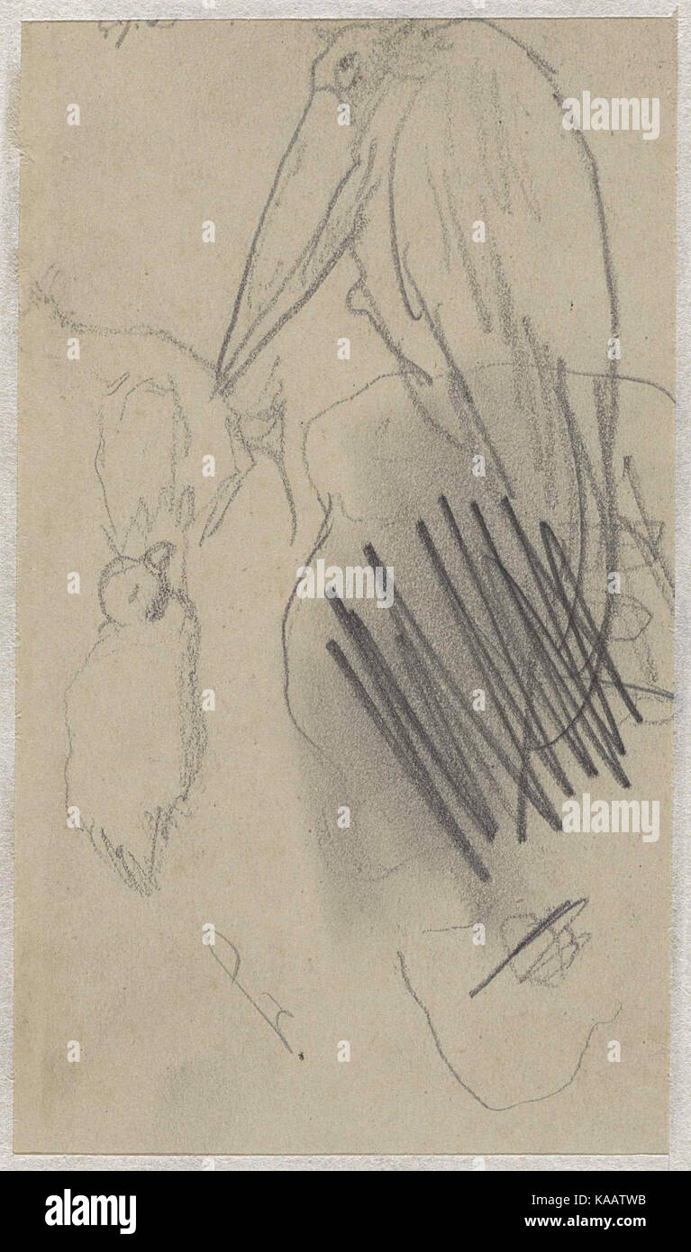 Schetsen van vogels Stock Photo - Alamy