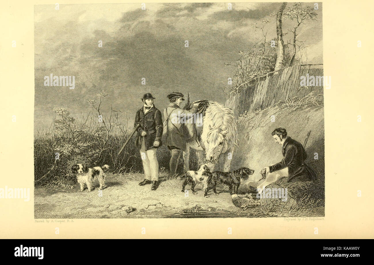 Rural life described and illustrated, in the management of horses, dogs ...