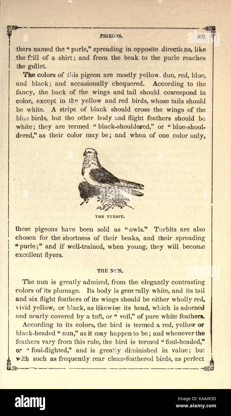 The American bird fancier; or, How to breed, rear, and care for song ...