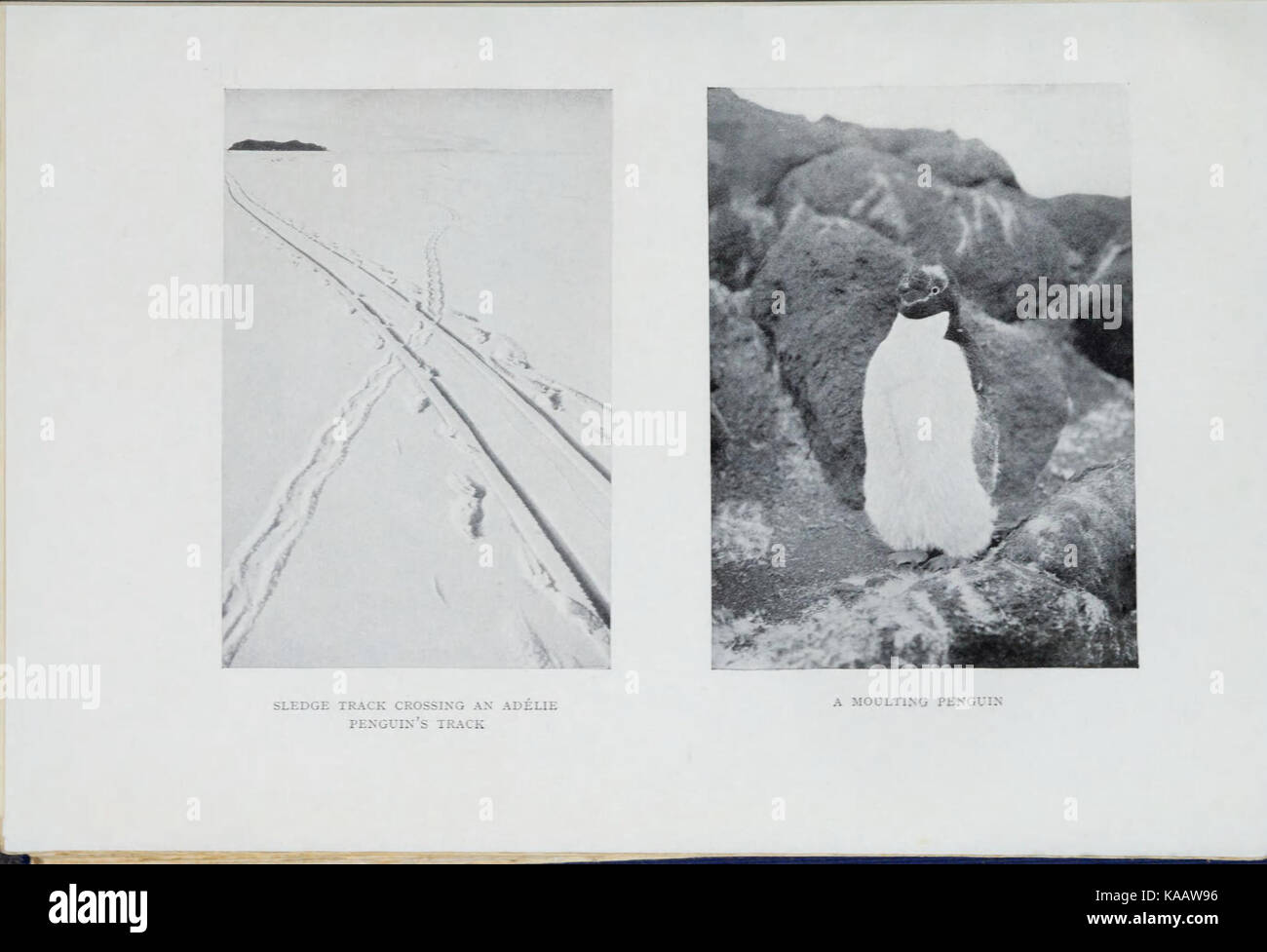 Scott's Last Expedition refers to the ill-fated journey led by Robert ...