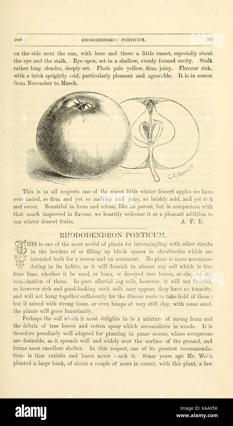 The florist and pomologist BHL6093885 Stock Photo - Alamy