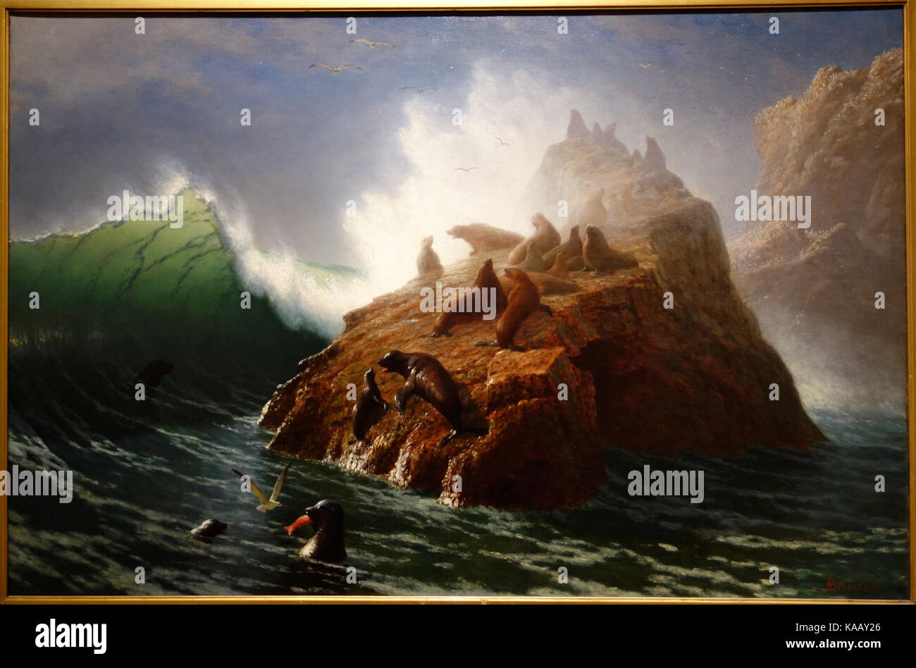 Seal rock map hi-res stock photography and images - Alamy