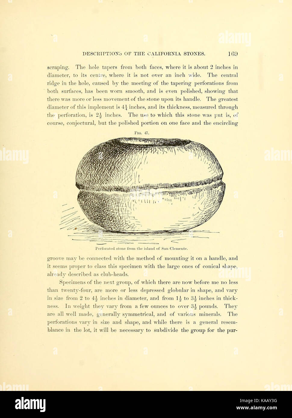 This report details archaeological and ethnological collections from ...