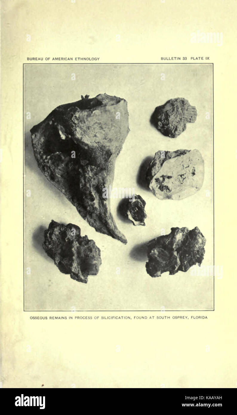 Skeletal remains suggesting or attributed to early man in North America ...