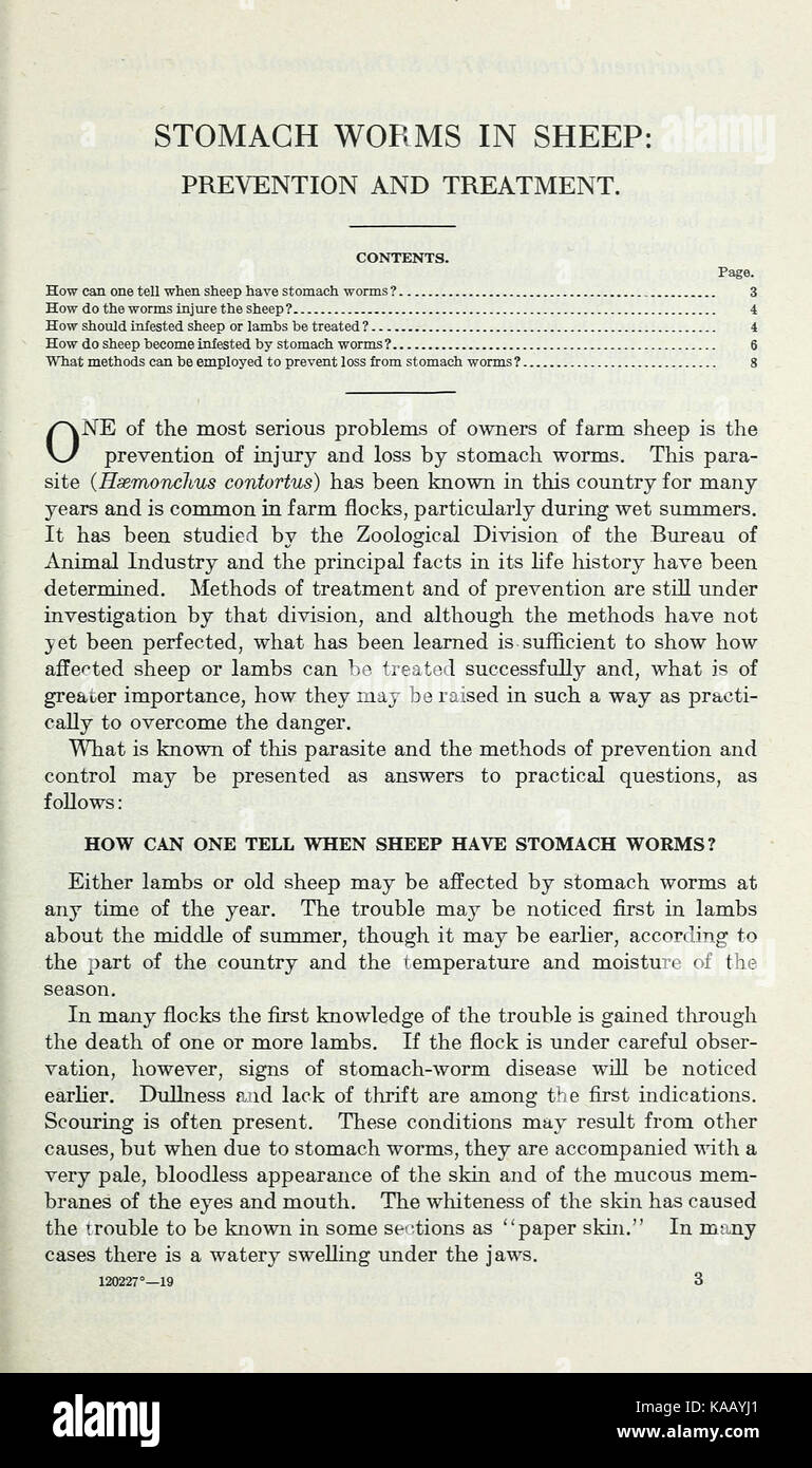 Stomach worms in sheep (Page 3) BHL42160835 Stock Photo - Alamy