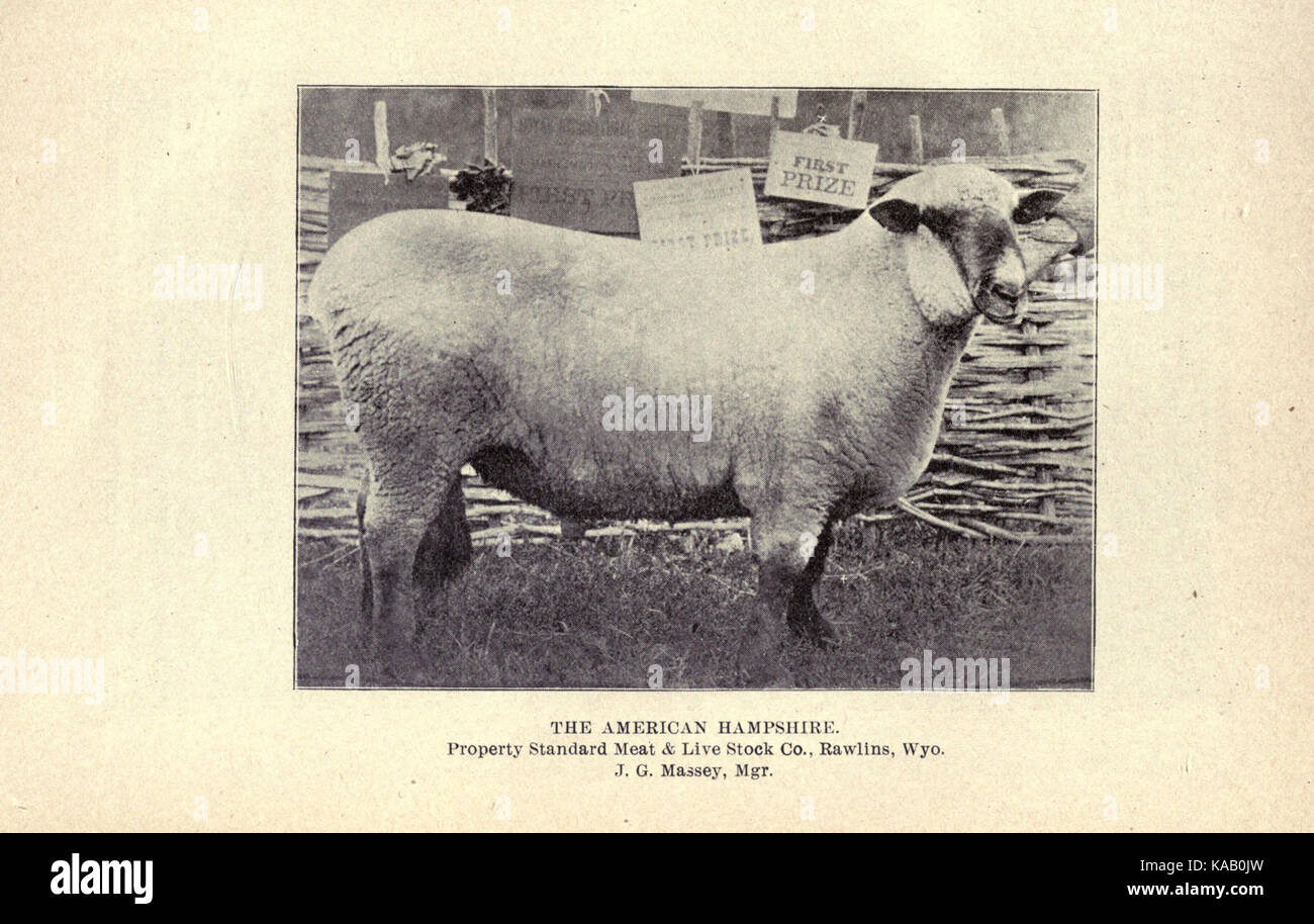 Domestication evolution hi-res stock photography and images - Alamy