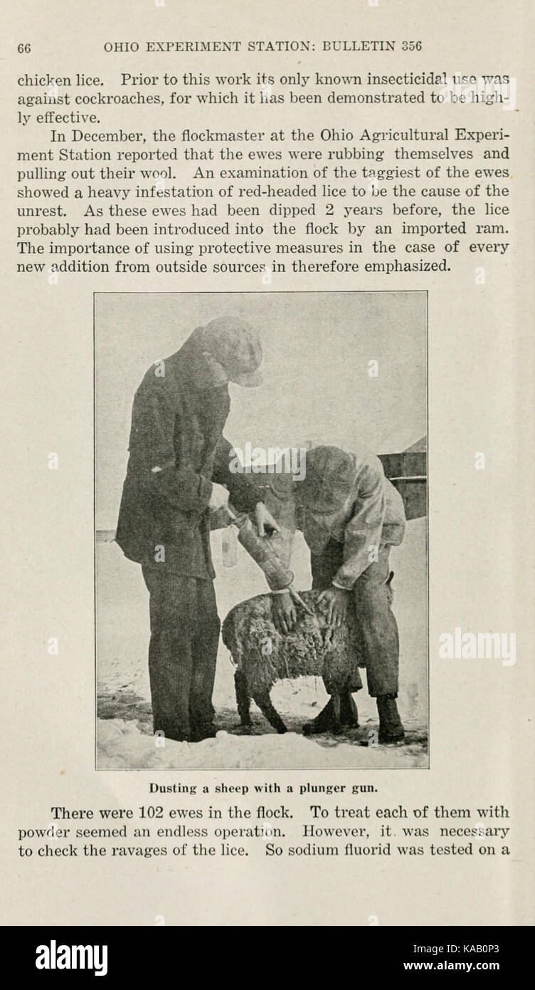 This study addresses pests affecting Ohio sheep, focusing on their ...