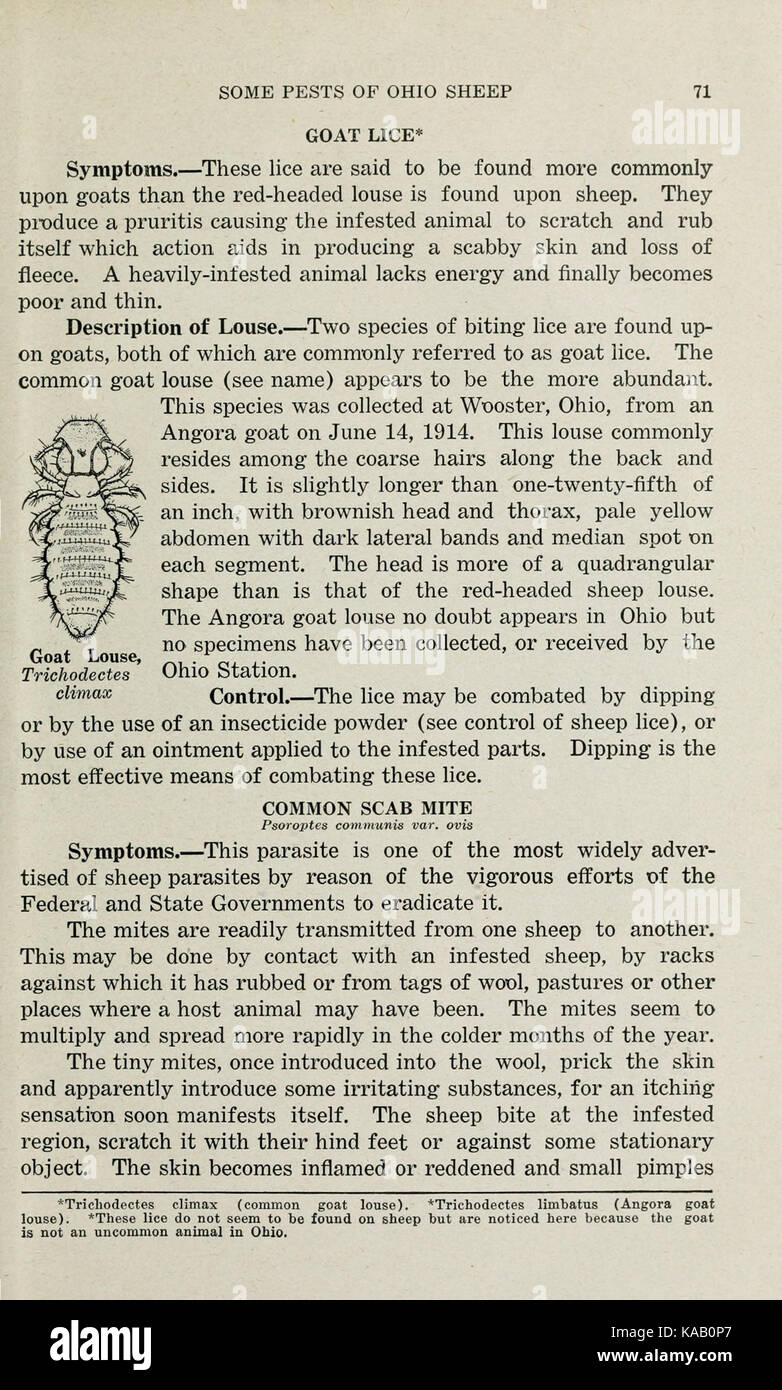 Some pests of Ohio sheep (Page 71) BHL24199088 Stock Photo - Alamy