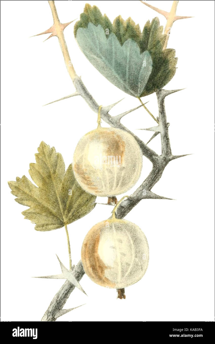 Var discolor hi-res stock photography and images - Alamy