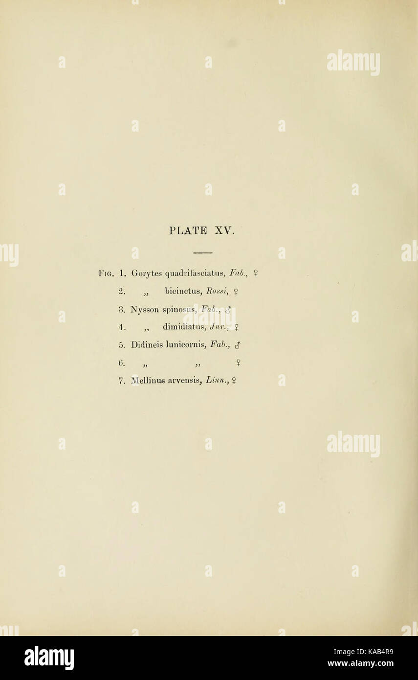 A reference to Plate 15 of Saunders' work on Hymenoptera Aculeata, a ...