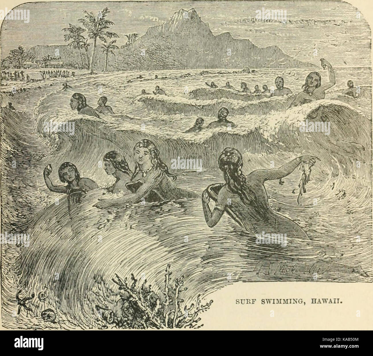 Surf Swimming, Hawaii Stock Photo - Alamy