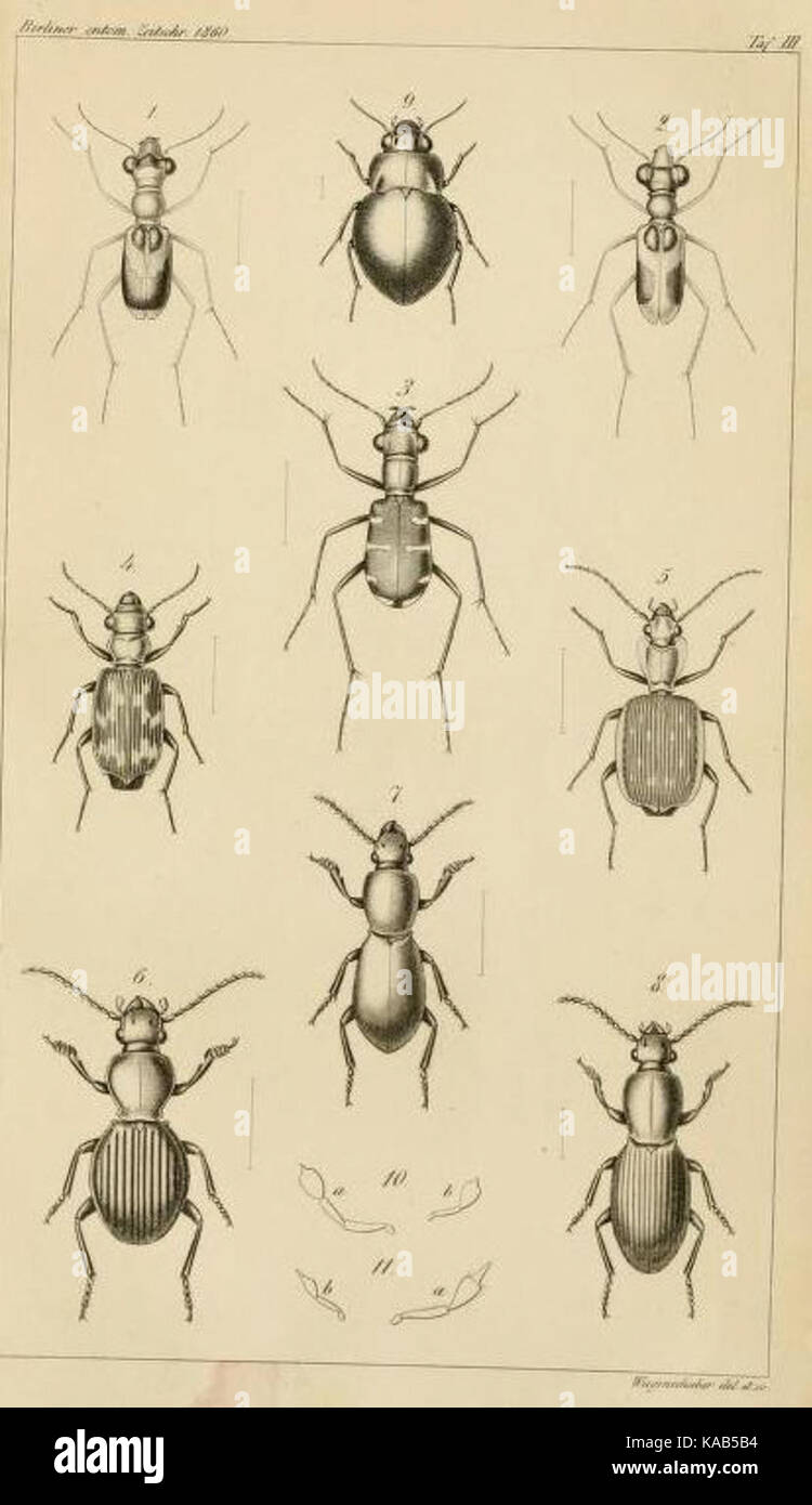 Resources for insects hi-res stock photography and images - Alamy