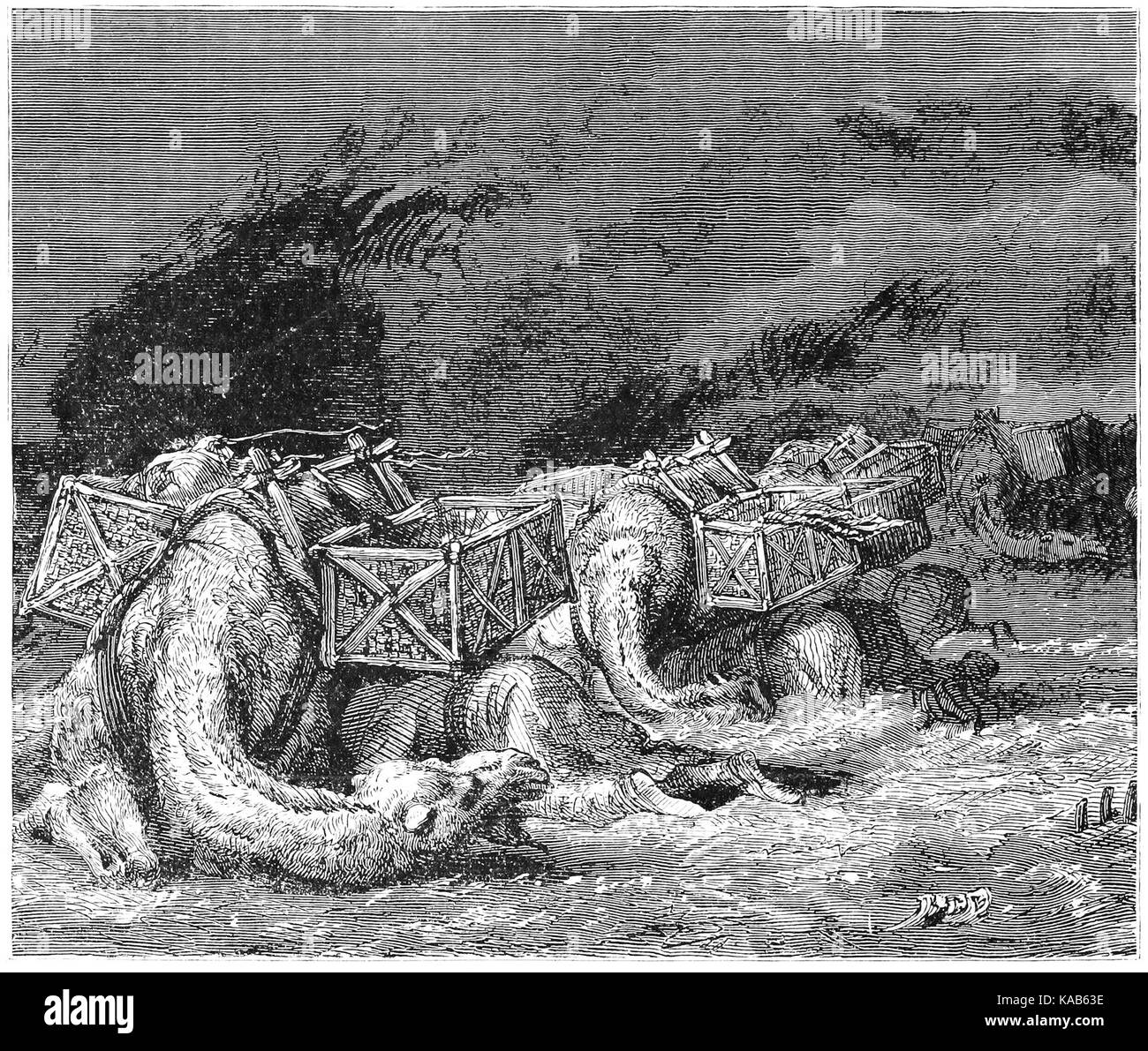 A powerful sandstorm in the desert, capturing the intense, natural ...