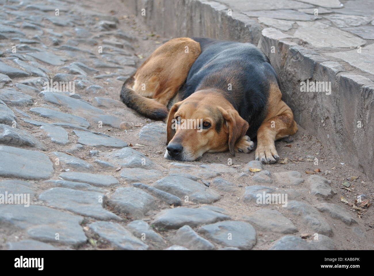 Squat down hi-res stock photography and images - Alamy