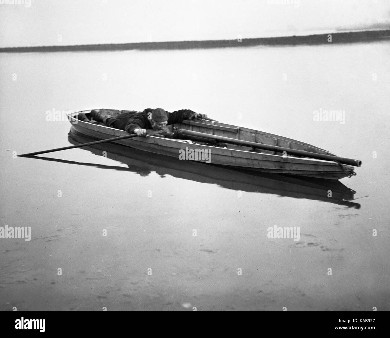 Pond ducks Black and White Stock Photos & Images - Alamy