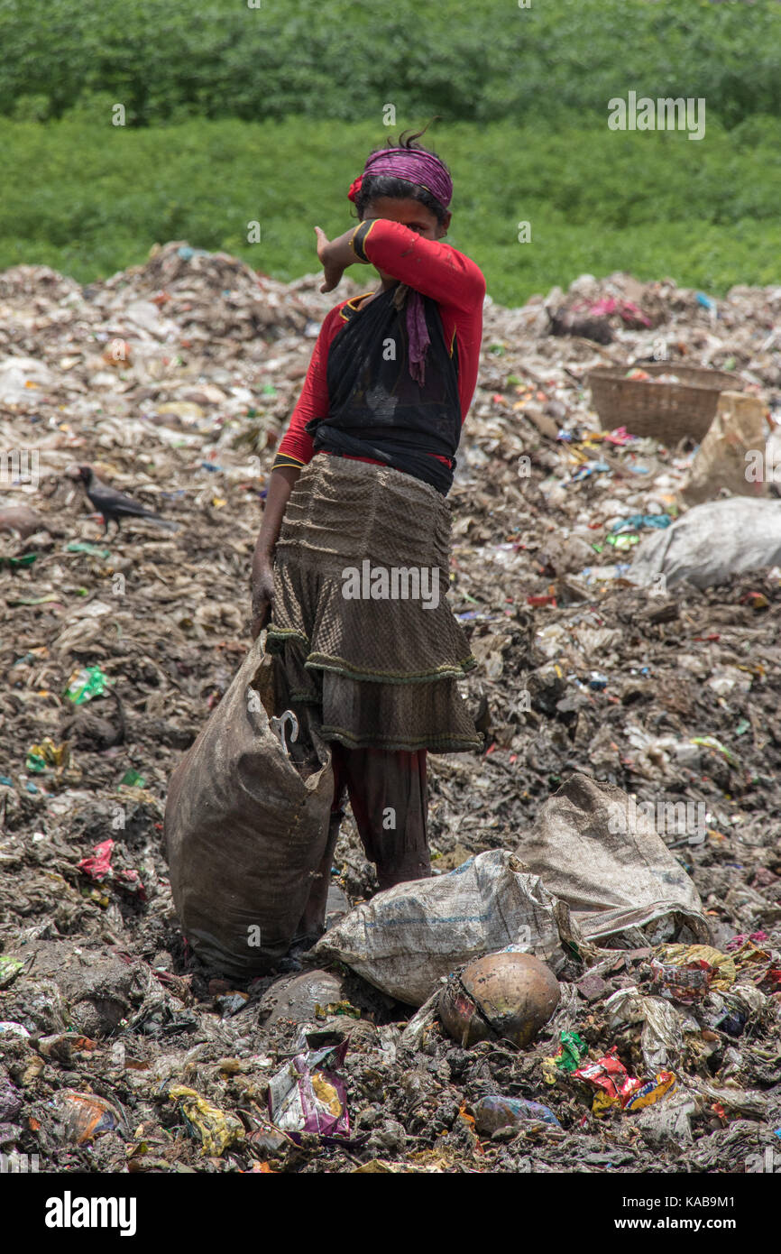 Life in garbage Stock Photo - Alamy